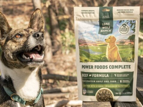 Chuck Norris Launches Power Foods Complete: Premium Air-Dried Dog Food ...
