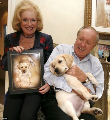 Meet World's Most Expensive Pets: The Billion-Dollar Animal World